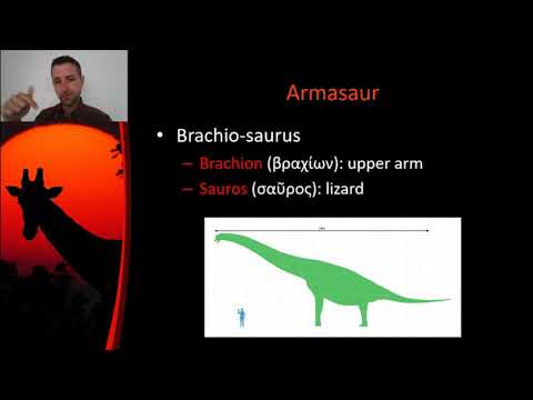 Excursion 3: Sweet Lizards