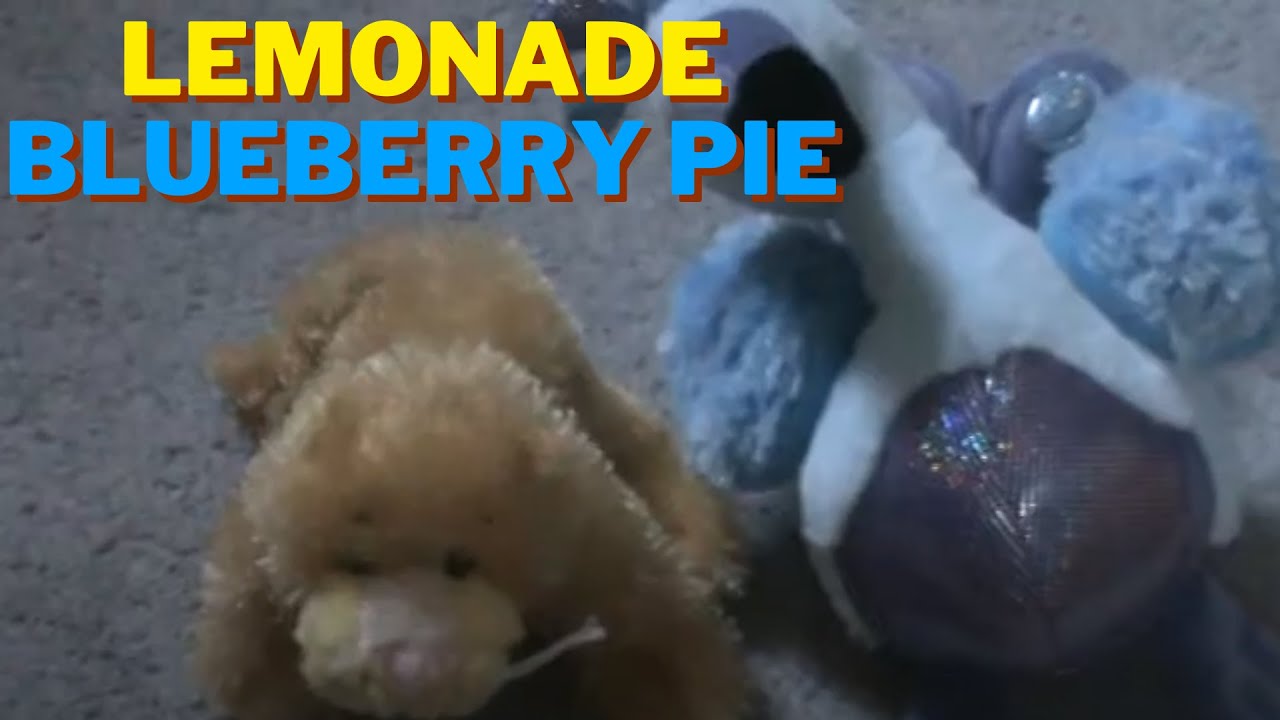 My Webkinz 4: Lemonade & Blueberry Pie