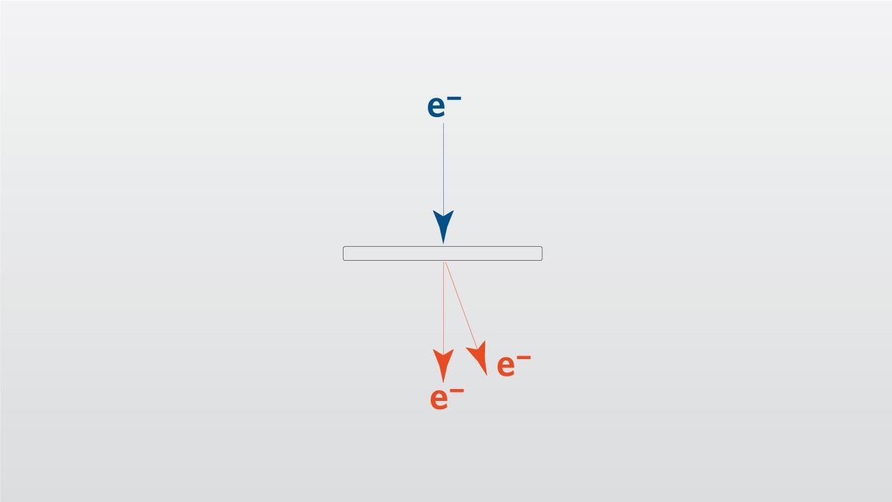 TEM Webinar preview