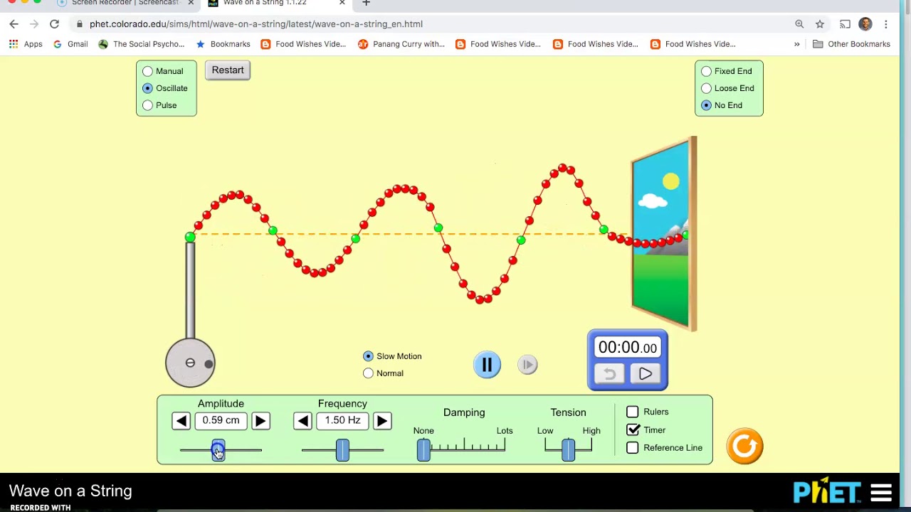 PhET Waves Simulation Overview