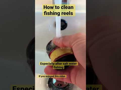 How to clean fishing reels