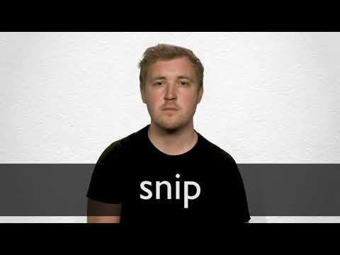 SNIP definition in American English | Collins English Dictionary