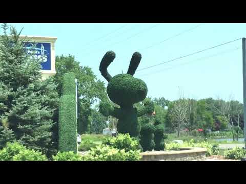Castaway Bay, Thirsty Pony - Sandusky Ohio