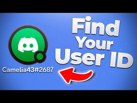 How to Find Your User ID on Discord 2023 ✅ Mobile & Pc (Check, see, get)