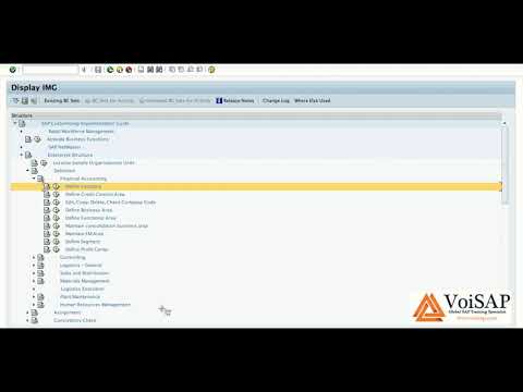 How to Define Company in SAP I Theory I VoiSAP