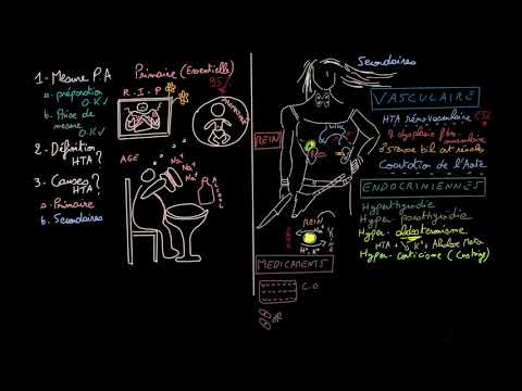 Hypertension artérielle - HTA - Docteur Synapse