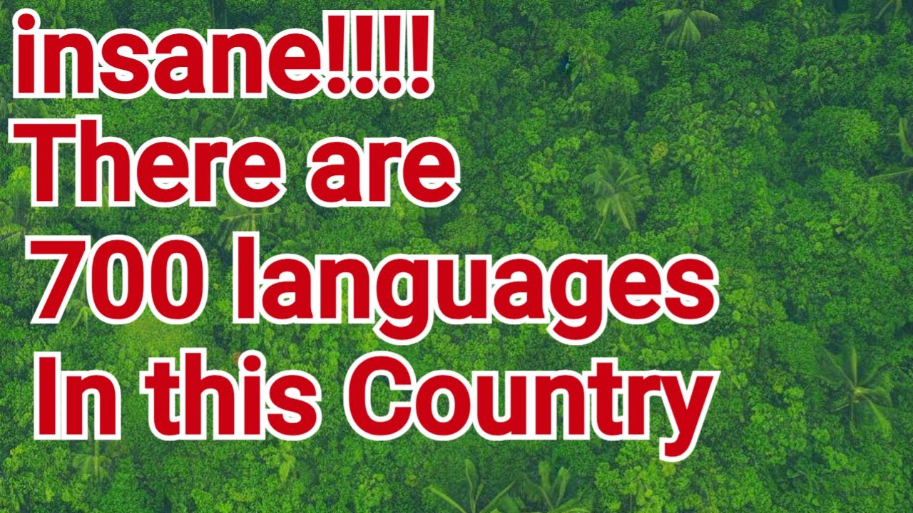 Uncovering Indonesia's Hidden Language Diversity