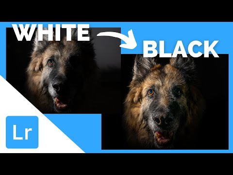 Lightroom Tutorial: How to Create a Black Background for Dramatic Portraits âš«