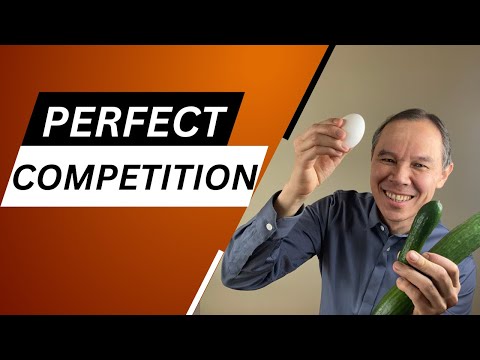 Perfect Competition in Economics
