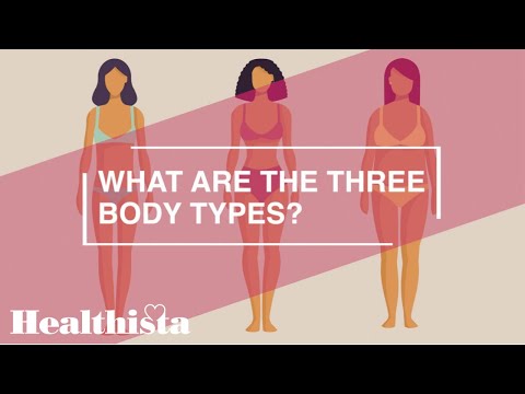 What Are The Three Body Types?