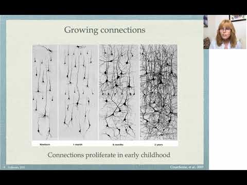 The Neuroscience of Montessori