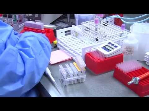 Hand, Foot & Mouth Disease on the Move