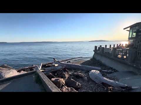 View of Elliott Bay from the Northwestern Edge of Charles Richey Sr Viewpoint, Seattle