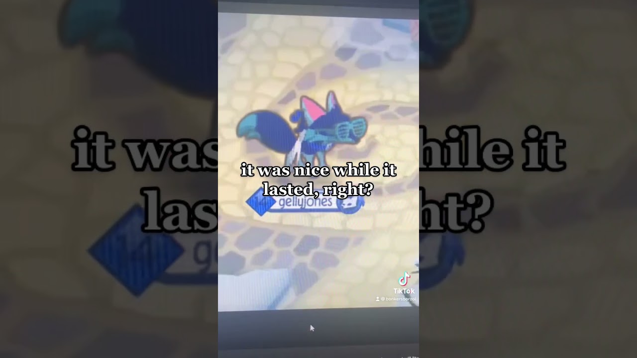What Happened to the Old Animal Jam Youtubers…?
