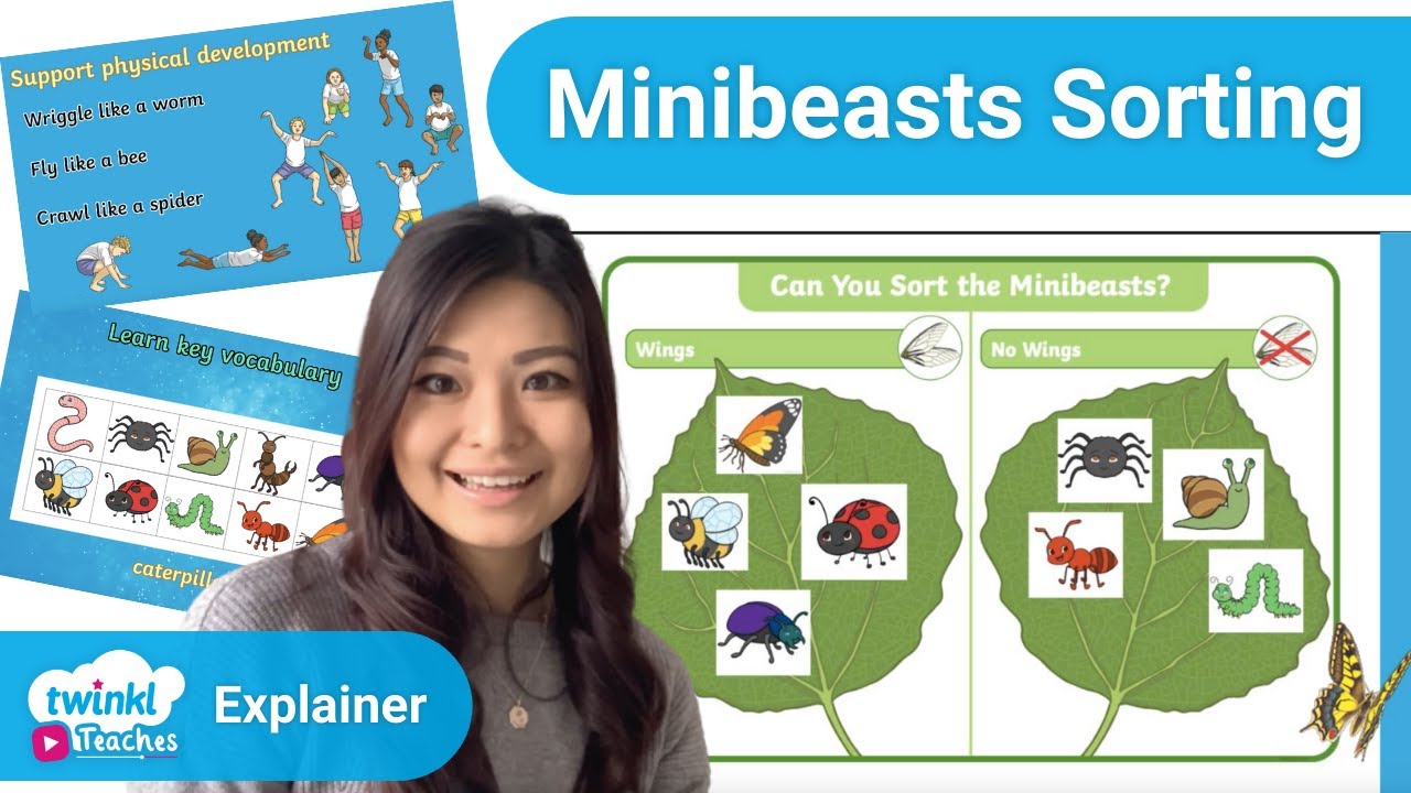 Sorting Minibeasts Activity