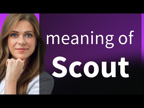 Scout — SCOUT meaning