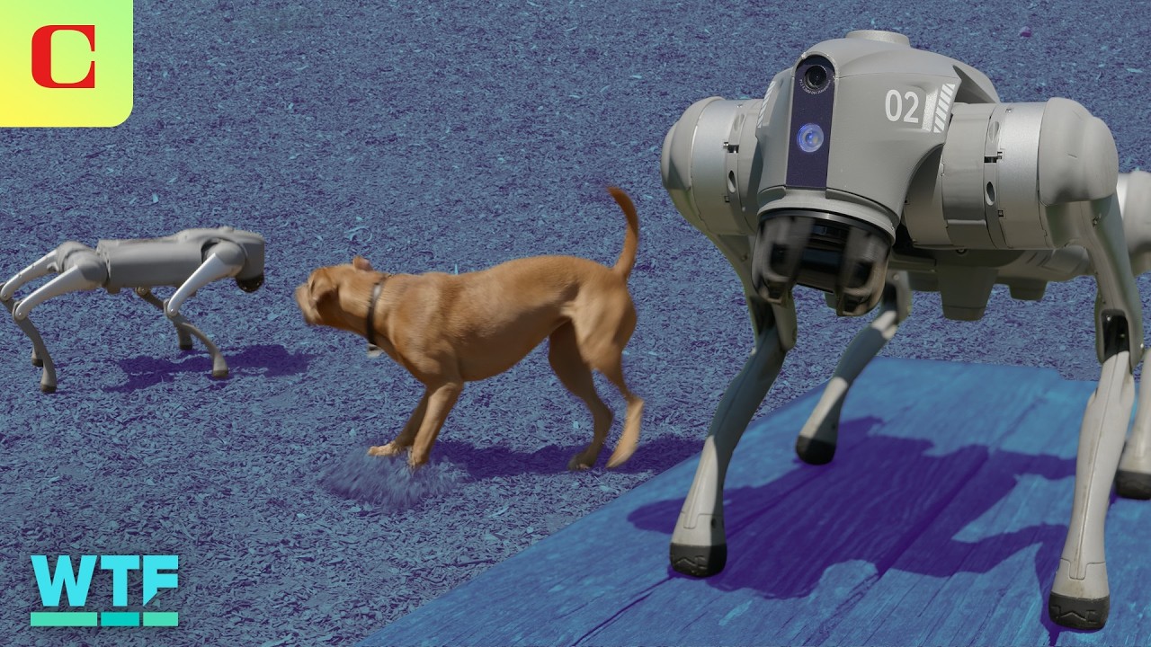 I Spent a Day With Unitree's Go2 Pro Robot Dog | What The Future