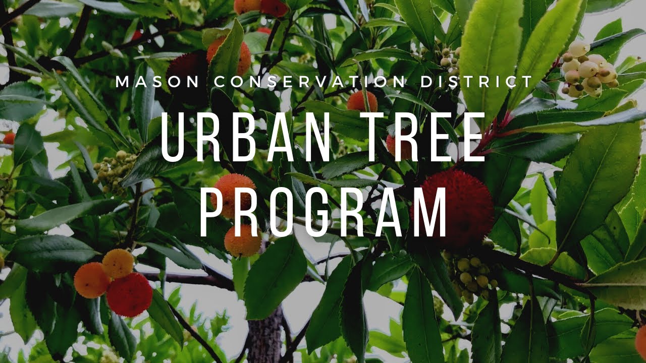 Mason Conservation District Urban Tree Program