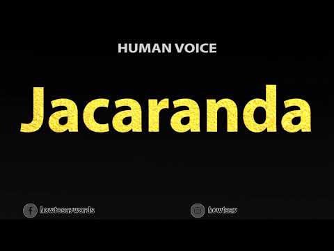 How To Pronounce Jacaranda