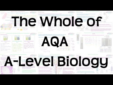 The Whole of AQA A-Level Biology | Exam Revision for Papers 1, 2 and 3