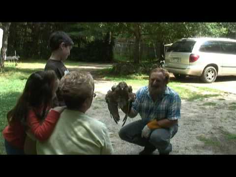RaptorsInRecoveryVideo