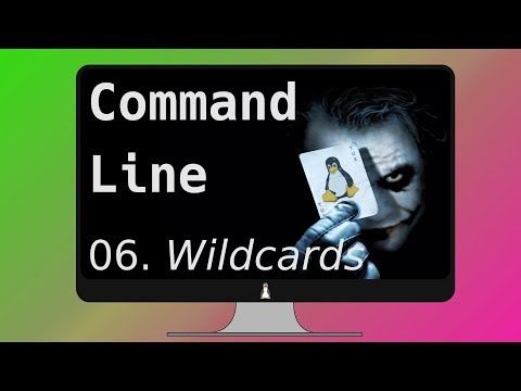 06. WILDCARDs in the Linux Terminal (not gaming!)