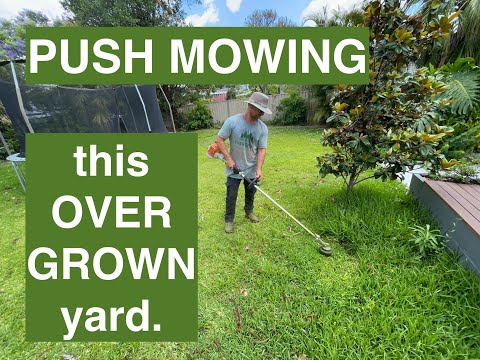 This OVER GROWN LAWN gets the MOW TIME treatment.