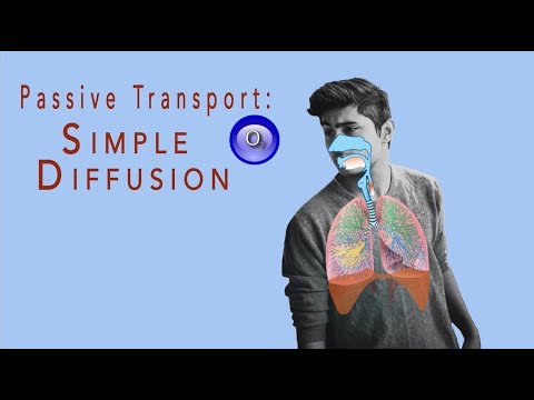 The Cell - Passive Transport: Simple Diffusion