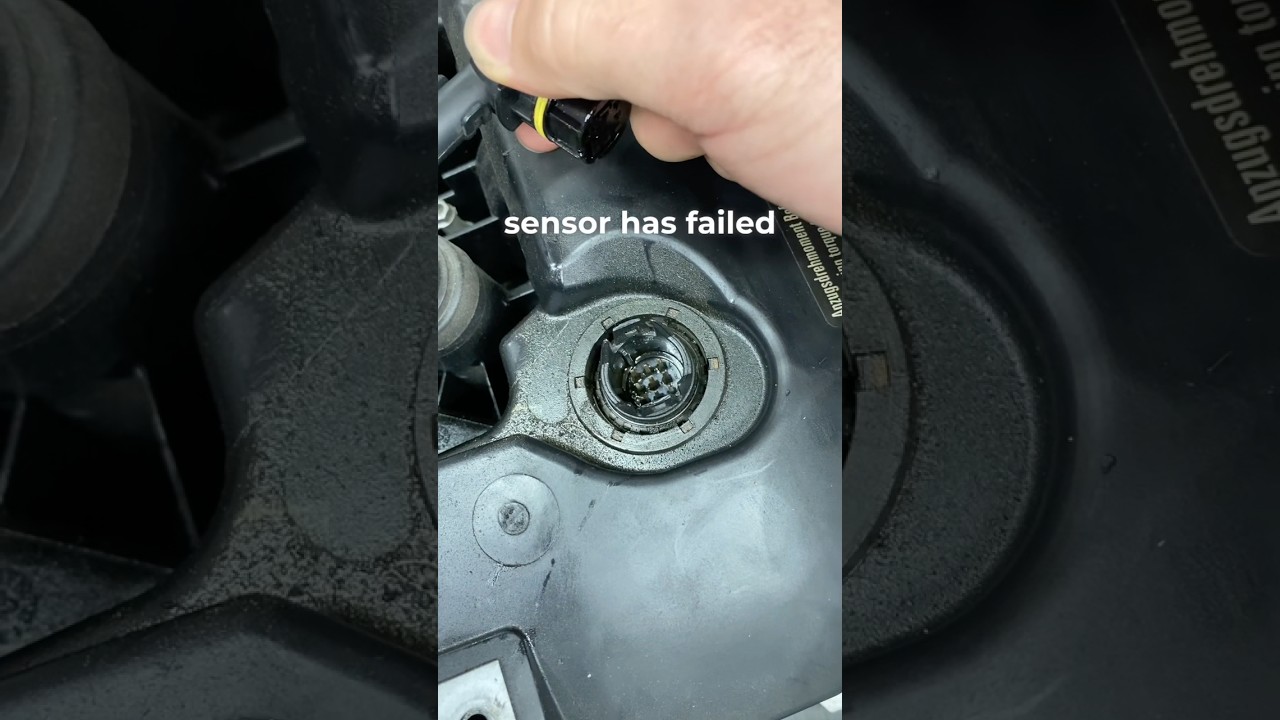 Happy Valentines Day!