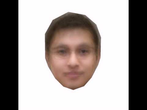 morph mean