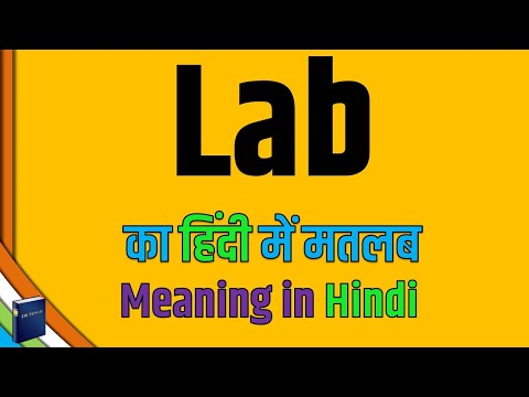 Lab का हिंदी में क्या मतलब होता है ? Lab meaning in हिंदी |