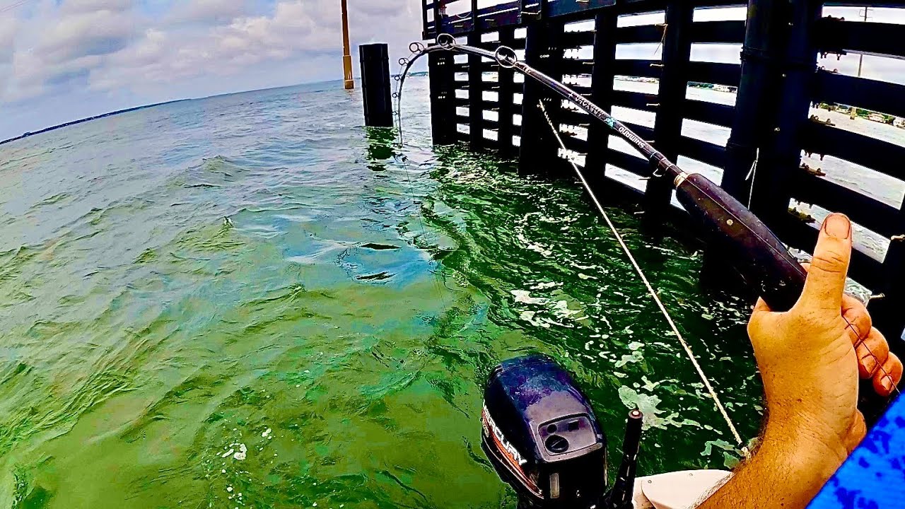 GAME OVER - Sheepshead Master Class