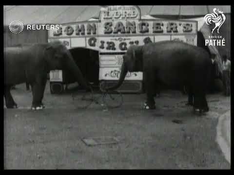 QUIRKY: Elephants prove that Hercules Cycles are strong (1929)