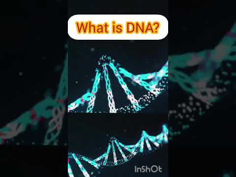 Deoxyribo Nucleic acid, What is meant by DNA, 2nd year biology