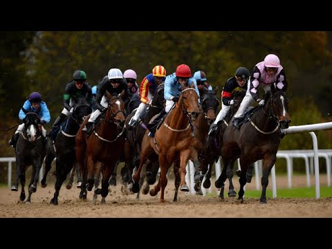 Free betting tips: Sporting Life's daily horse racing Rest of the day