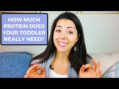 How Much Protein for Toddlers?