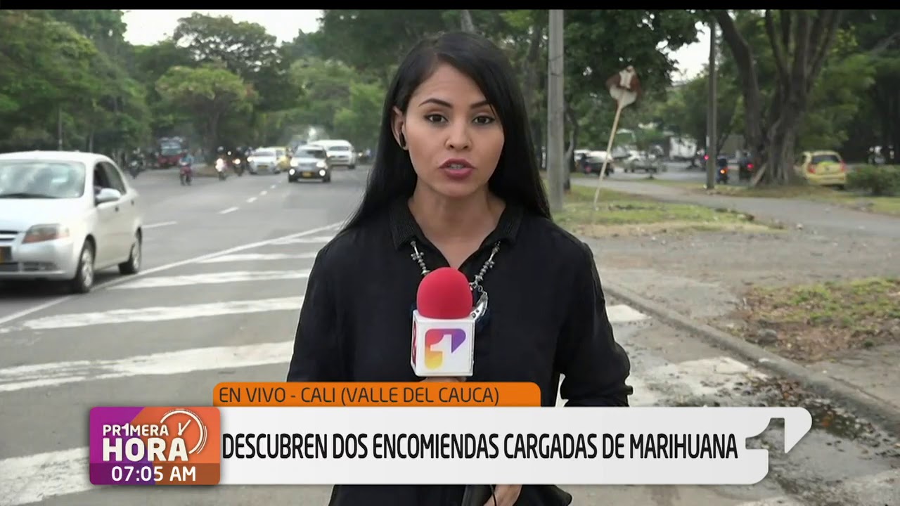 Encomienda, la modalidad predilecta en el Valle para exportar marihuana