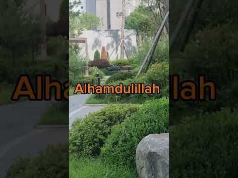 Alhamdulillah #allah #maghfirat #muhammadﷺ #salawat #istighfar #quran #zikir #dua #islam #muslim #aa