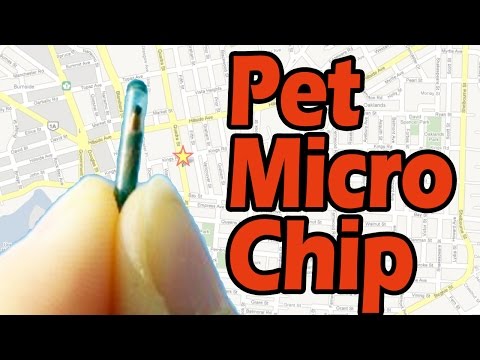 GPS Microchip for pets- Pet Hospital Murrieta