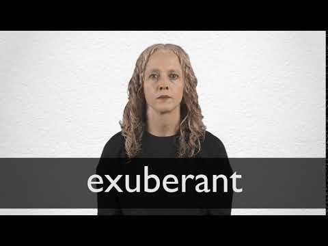 Hindi Translation of “EXUBERANT” | Collins English-Hindi Dictionary