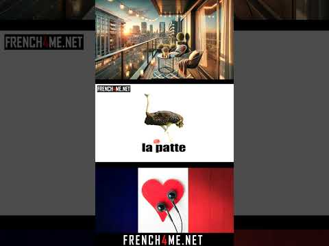 Learn French On Your Balcony I Autruche # Vol 1