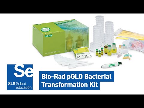 Webinar: Demonstrating gene regulation using the Bio Rad pGLO Bacterial Transformation Kit