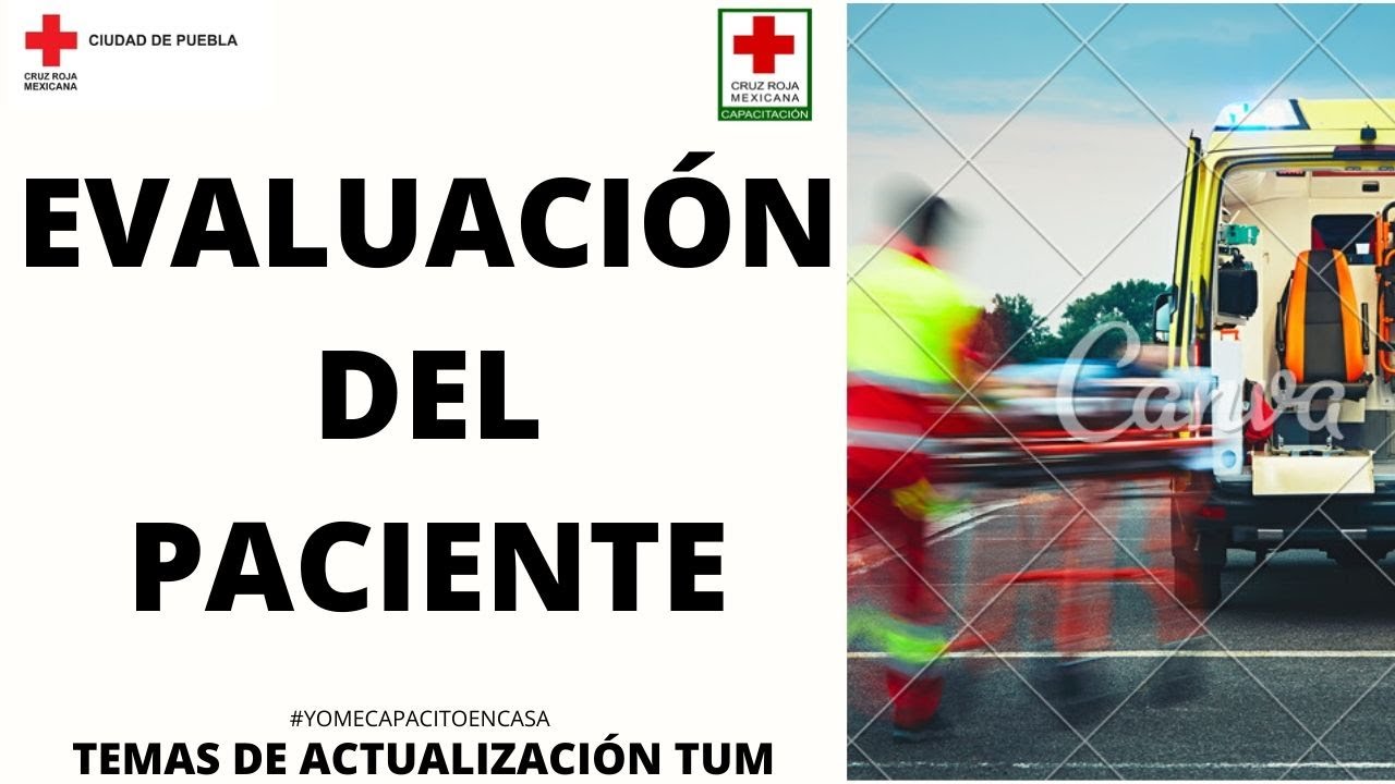 Actualización. Evaluación del paciente.  TUM Nivel Básico