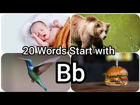 Words that starts with Letter Bb B for words Kids Vocabulary 20 Words start with Letter B