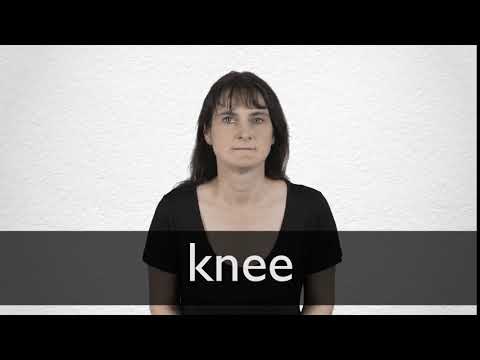 How to pronounce KNEE in British English