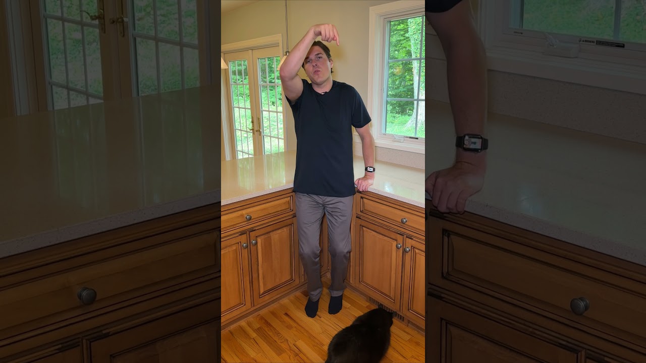 Instant Lower Back and Sciatica Pain Relief AT HOME #Shorts