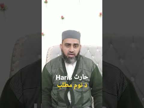 haris meaning #shorts #haris #islamicname #naam