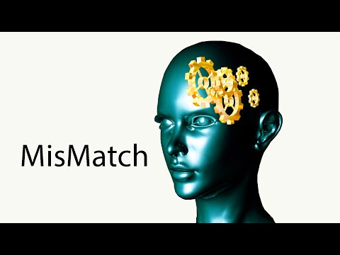 What is MisMatch?