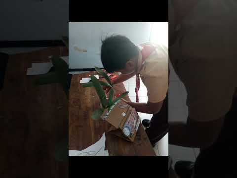 P5:Gaya Hidup Berkelanjutan