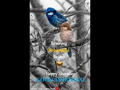 THURSDAY QUOTES /GOOD MORNING IMAGES /WHATSAPP STATUS/WHATSAPP DP PHOTOS/BEAUTIFUL IMAGES